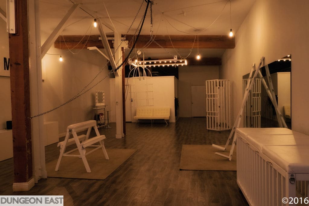 Dungeon East – Owned by Dominatrix Mistress Justine Cross - Vice Vibe